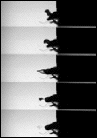 High-Speed Video Exposes Snapping Shrimp | Tech Pulse | Dec 2000 ...