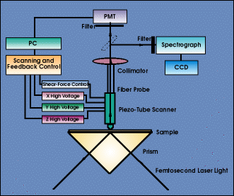 Advantages of Two-Photon Imaging | Tech Pulse | Apr 2000 | Photonics ...