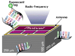 Laser-Powered Chips Sample DNA | Tech Pulse | Sep 2000 | Photonics Spectra