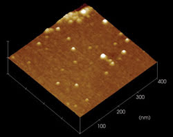 Related Content: Gold quantum dots sensitively detect proteins | Jan ...