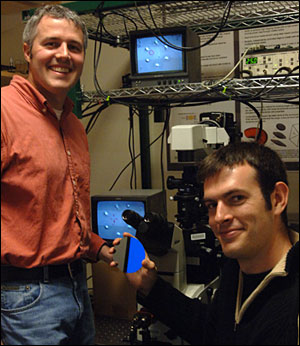 Beam of Light Picks Up Cells | News & Features | Oct 2007 | Photonics ...