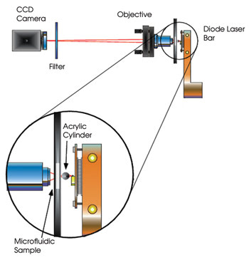 A compact and affordable optical trap for cell sorting | Mar 2008 ...