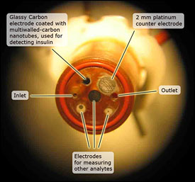 Sensor Tracks Insulin Level | News & Features | Apr 2008 | Photonics ...