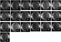 Treating MRSA, lightly | Apr 2009 | Photonics Spectra
