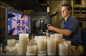 VCSEL-driven Atomic Clock Available to Consumers | Research ...
