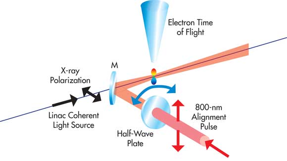 FEL Pulses and Ultrafast Lasers Team Up to Explore New Frontiers ... FEL Pulses and Ultrafast Lasers Team Up to Explore New Frontiers ...