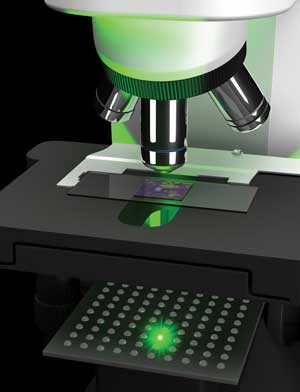 Tweaks turn microscope into billion-pixel imager | BioScan | Oct 2013 ...