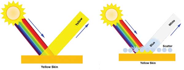 Method to change skin-color perception is patented | RapidScan | Dec ...