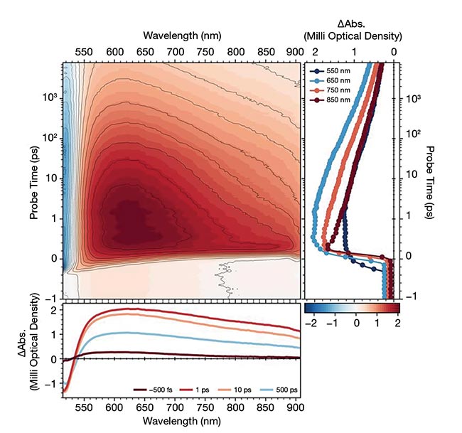 Chasing the Wind: Ultrafast Spectroscopy Captures Nature’s Fastest ...
