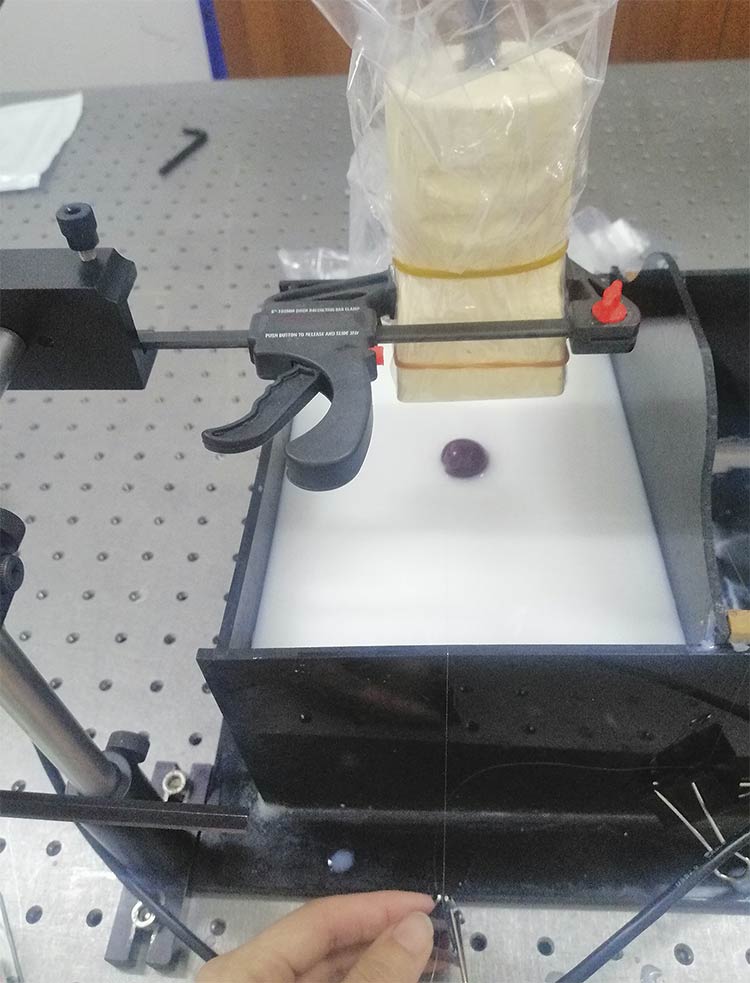 Diffuse Optics Helps to Map Out Tissue Functionality | Features | Mar ...