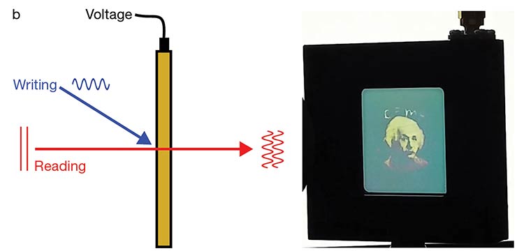 Spatial Light Modulators Expand Beyond Established Markets | Features ...