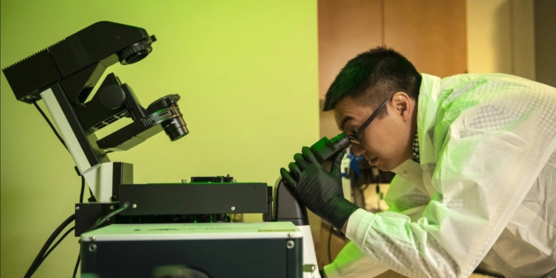 Imaging Tools Will Capture Microbe-Brain Cell Interaction at Nanoscale ...
