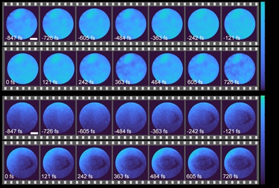 Ultrafast Single-Shot Imaging Records Transient Events in Real Time ...