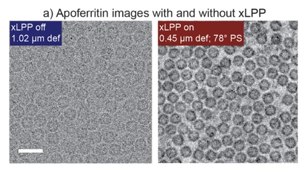 Laser Phase Plate Boosts Cryo-Electron Microscopy | Research ...