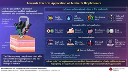 THz Emerges as Key Light Source for Biophotonic Applications | Research ...