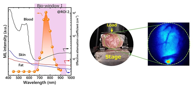 Mechanoluminescent Zinc Oxide: A Surprising Catalyst for NIR Photonics ...