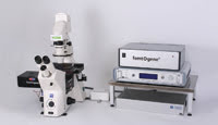 Scanning nonlinear microscope | JenLab GmbH | BreakthroughProducts ...