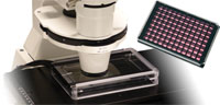 Microscope Heating System | ibidi GmbH | BioPhotonics