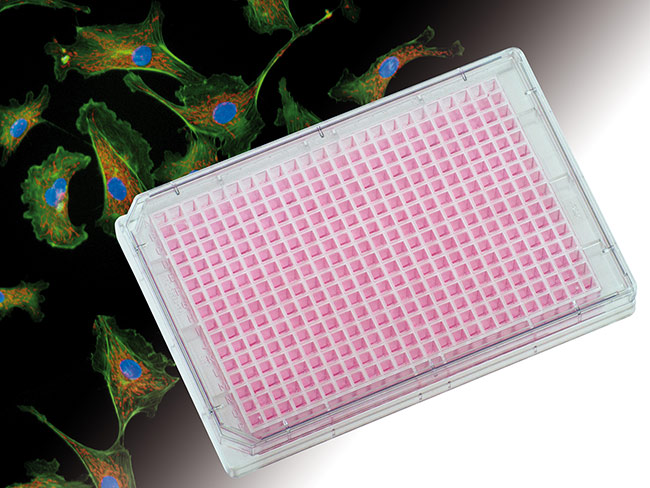 Microtiter Plate | ibidi GmbH | Spring 2019 | Photonics Spectra