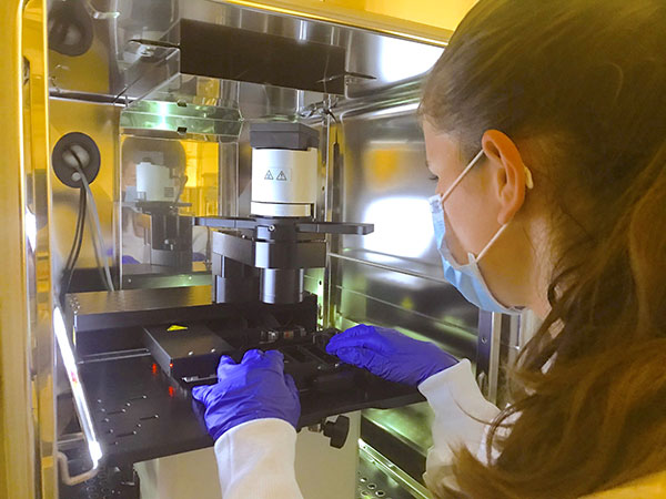 Automated Live Cell Imaging in Your Incubator | Etaluma Inc ...