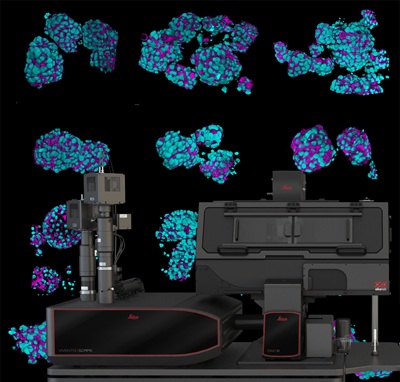 Light Sheet Microscope | Leica Microsystems GmbH | Photonics Spectra